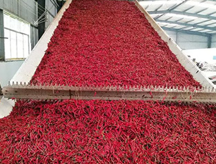 Chili Dryer Machine-Henan Jinlu mechanical equipment manufacturing Co ...